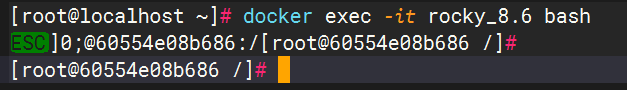 Some messy code When using docker container and the container's vim · Issue #1579 · kingToolbox ...