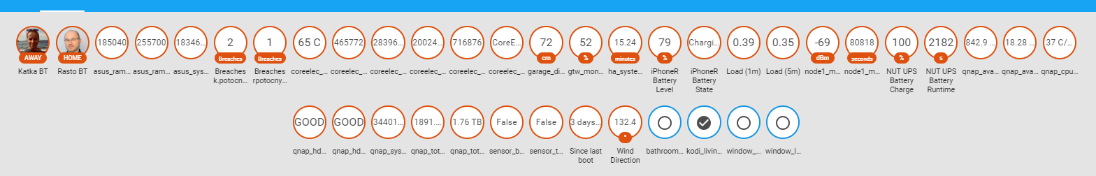 Updater sensor / component not visible · Issue #18284 · home-assistant/core · GitHub