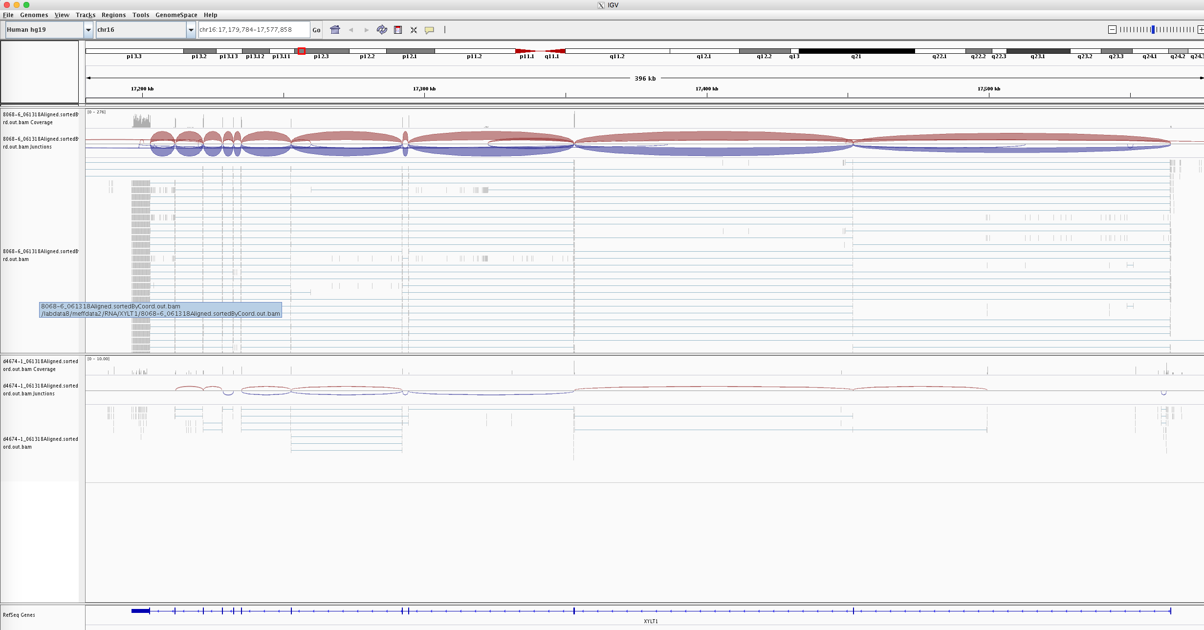 Improve treatment of coverage display at zoomed out views on Sashimi ...