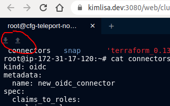 Web UI terminal scp upload and download does not work when `require ...