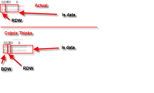 Handle a use case when RDWs count themselves as being part of a record · Issue #109 · AbsaOSS ...