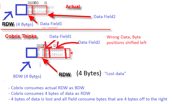 Handle a use case when RDWs count themselves as being part of a record · Issue #109 · AbsaOSS ...