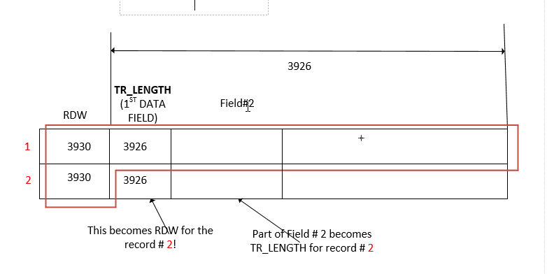 Handle a use case when RDWs count themselves as being part of a record · Issue #109 · AbsaOSS ...