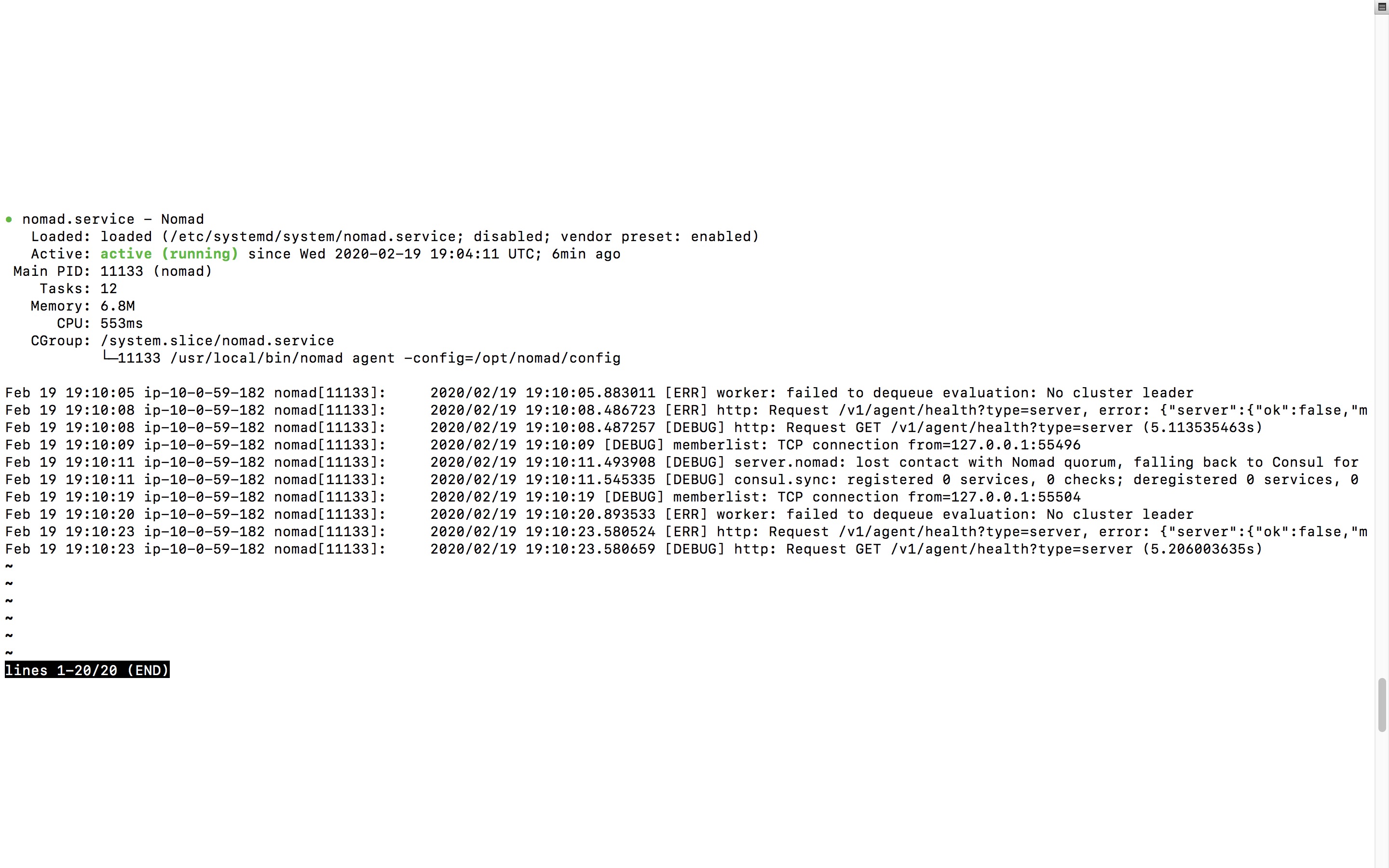 Nomad On Aws Nomad Server Members Returns No Cluster Leader · Issue 7173 · Hashicorpnomad