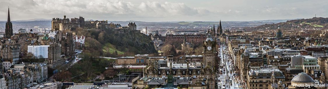 hanselkang (Hansel K) · GitHub