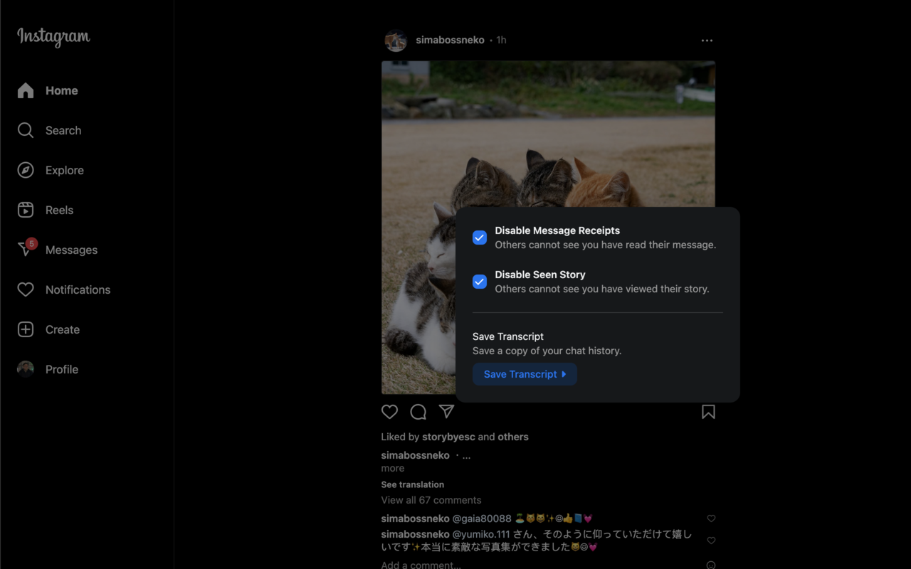 GitHub - dclstn/better-instagram: This browser extension enhances your instagram.com experience ...