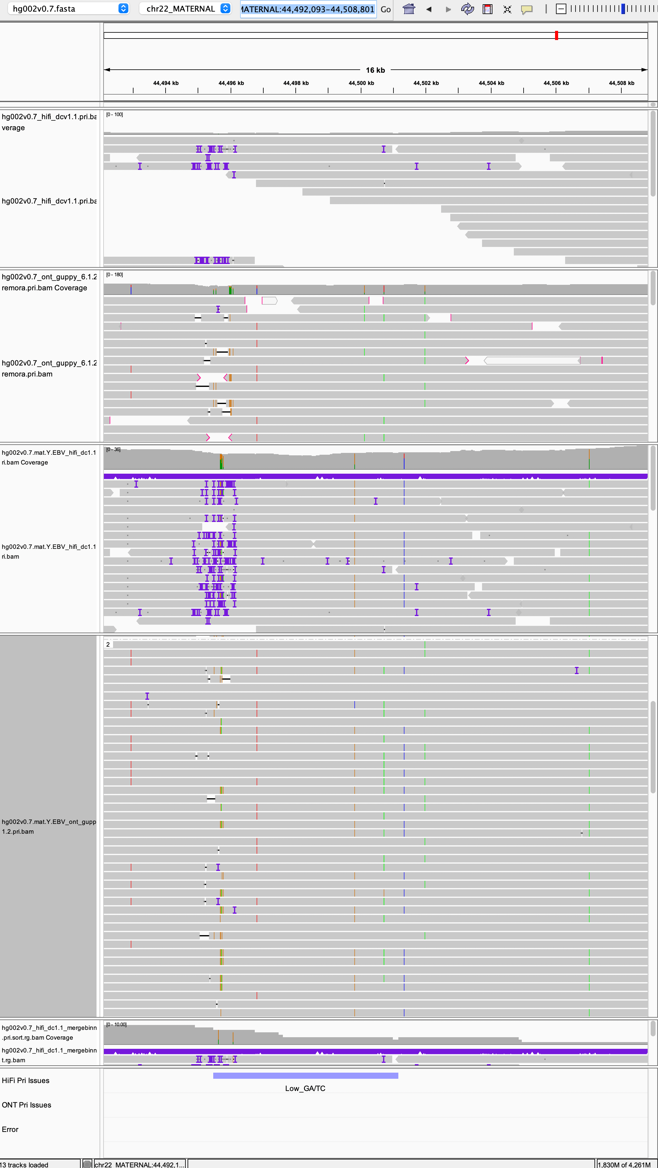 Issue: chr22_MATERNAL:44495469-44501162 · Issue #322 · marbl/HG002-issues · GitHub