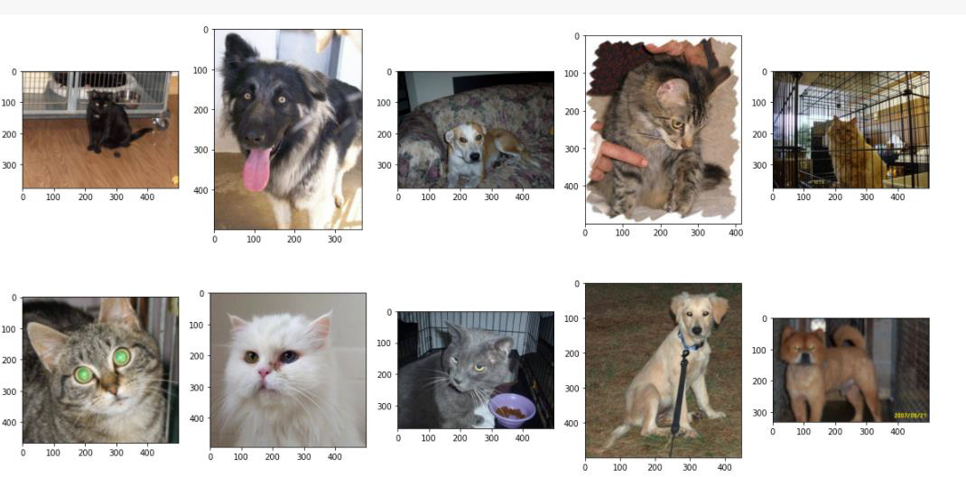 GitHub - ShawnLiu119/Dogs-vs-Cats_Image-Classification: Dogs-vs-Cats ...