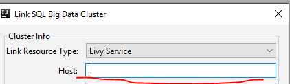 [IntelliJ][SQL Big Data Cluster]When link Aris Cluster, the host field should give a format of ...