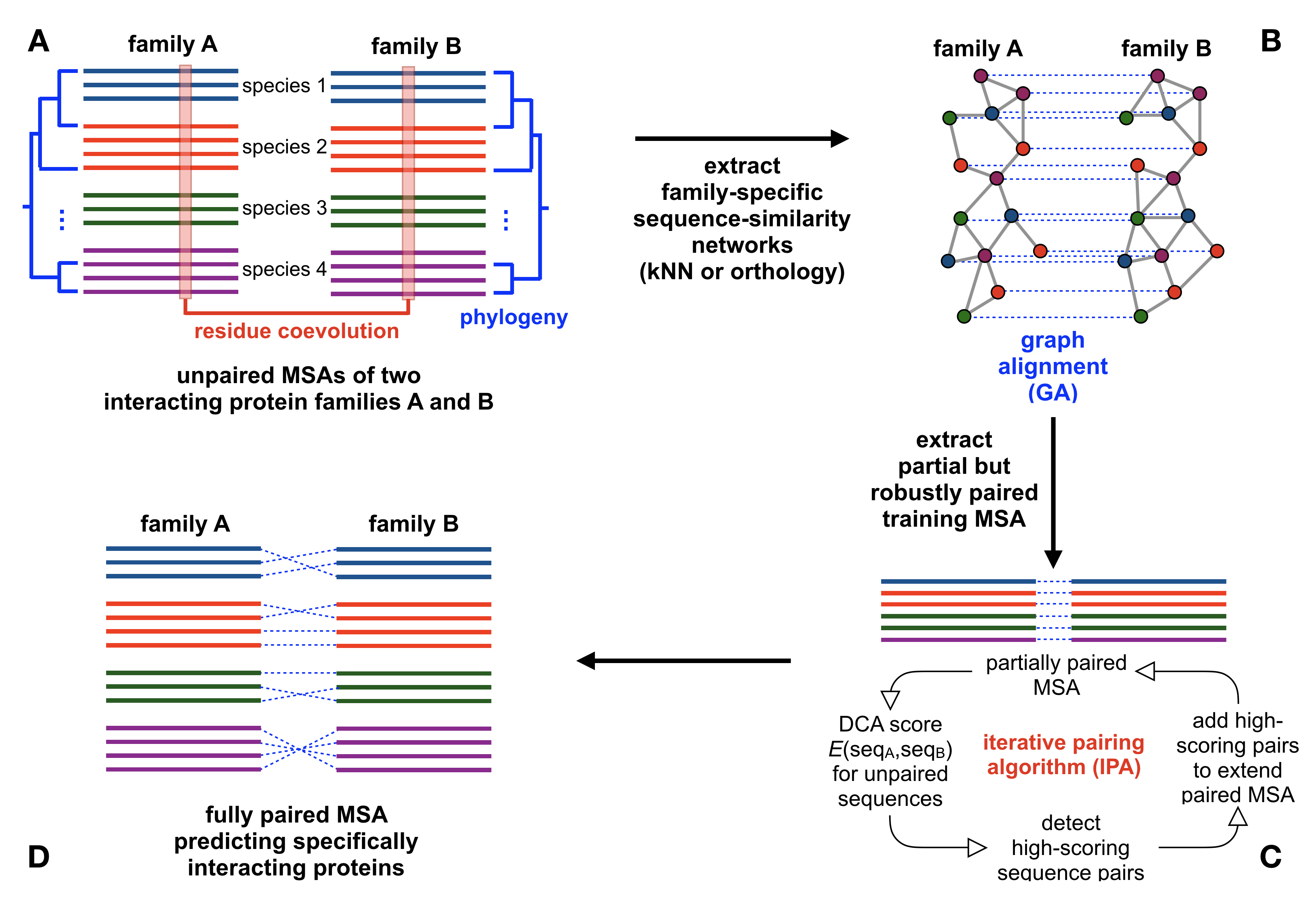 GitHub - carlosgandarilla/GA-IPA: Combining GA and IPA to infer paralog ...