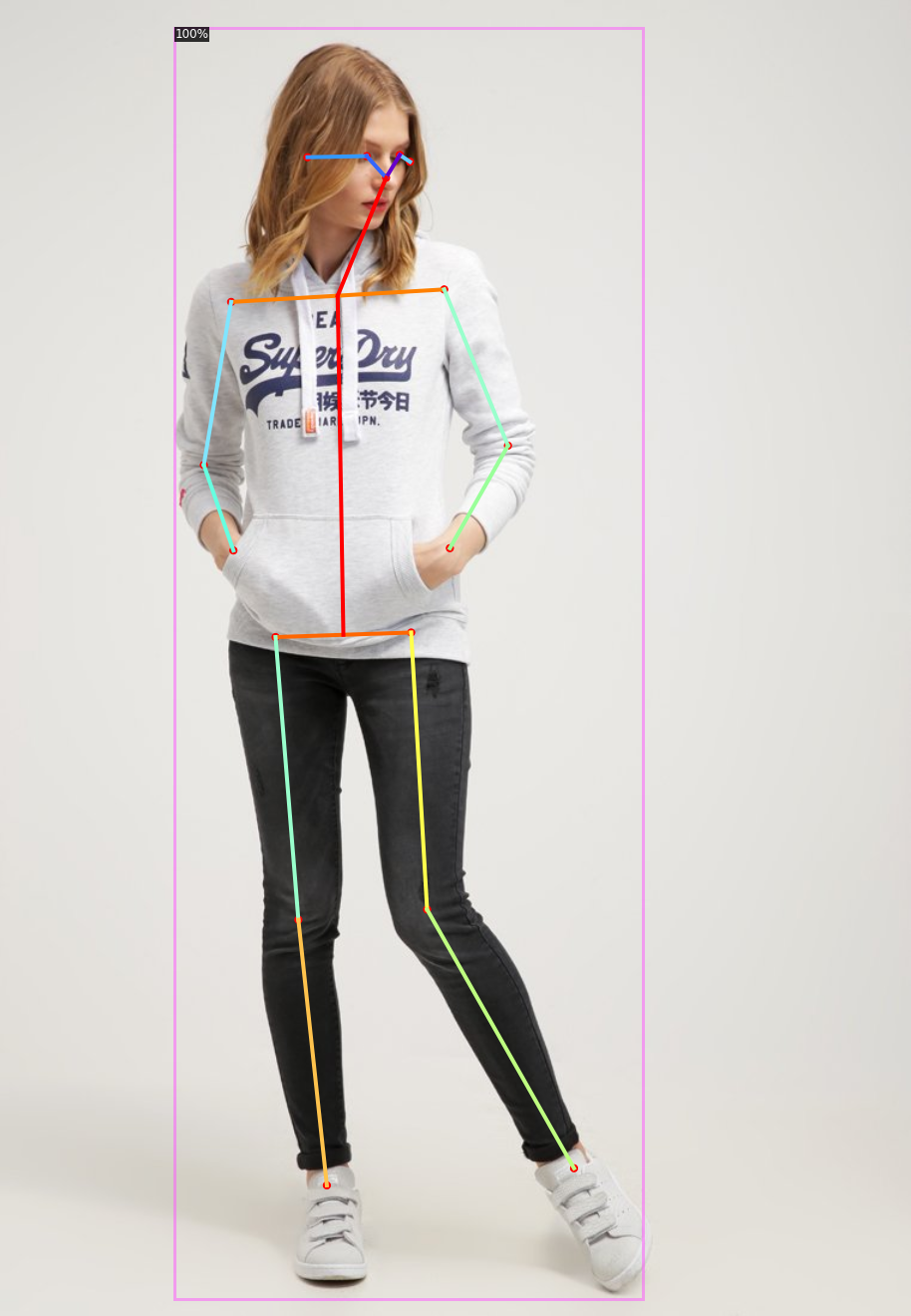 What is the Detectron2 Keypoint format and how to save it in COCO format? · Issue #1373 ...