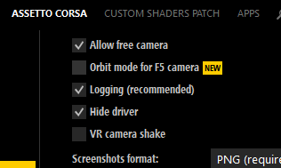 [VANILLA] HIDE DRIVER option broken in CSP 1.77 · Issue #238 · ac-custom-shaders-patch/acc ...