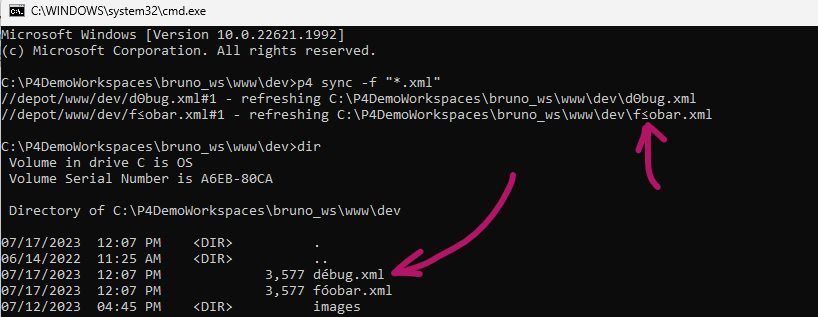Unicode Filename output does not display properly in the console window ... Unicode Filename output does not display properly in the console window ...