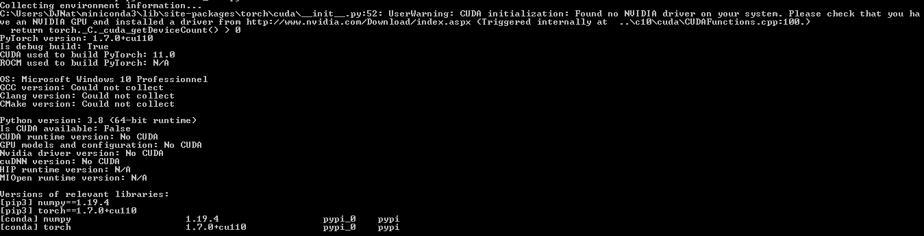 invalid wheel no .dist-info | collect-env script not working · Issue ...