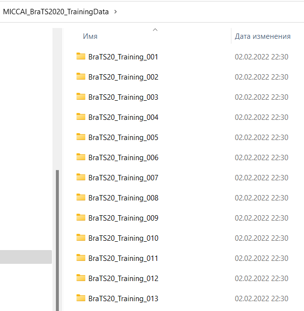 GitHub - Ezraorich/brain-tumor-segmentation: MICCAI brain tumor data ...