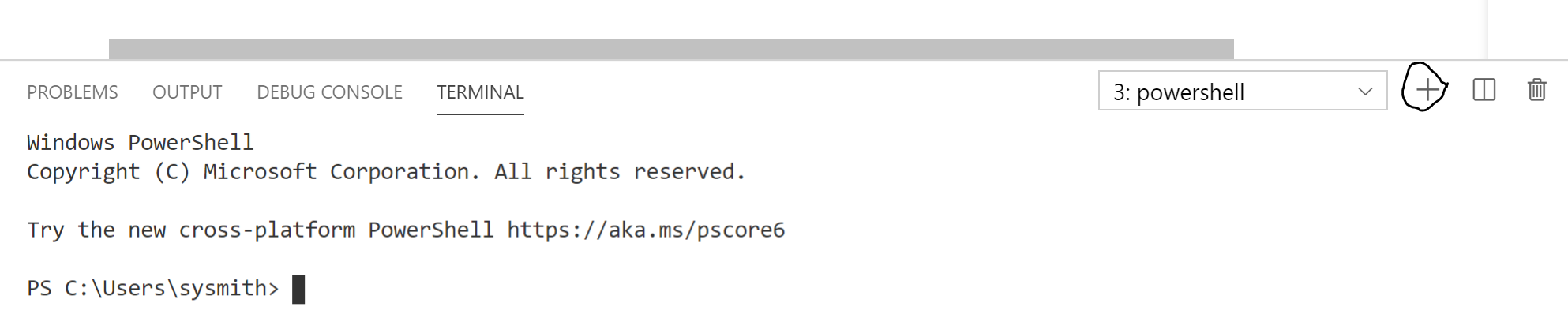 Powershell 202090 Integrated Console In A Container The Language Service Could Not Be Started