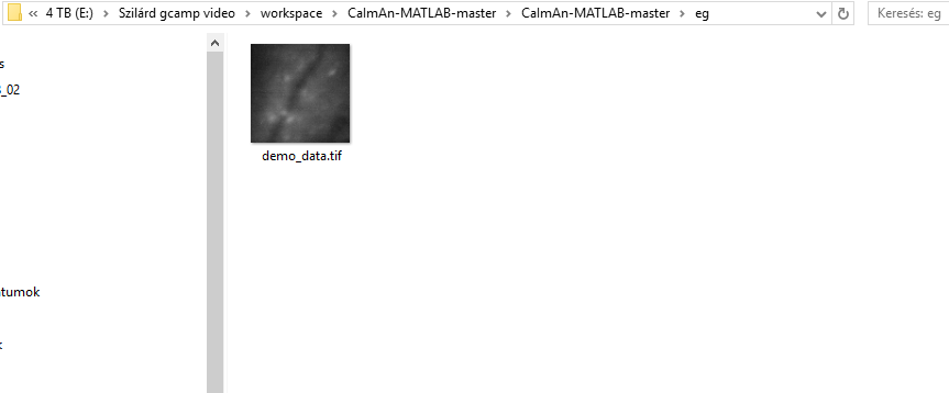 run_pipeline error · Issue #79 · flatironinstitute/CaImAn-MATLAB · GitHub
