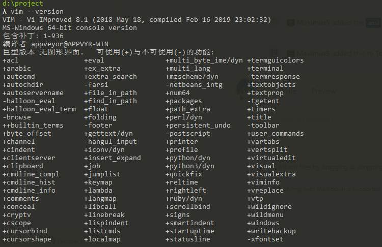 Vim Not Working Any More After Updating To 190310 · Issue 1861