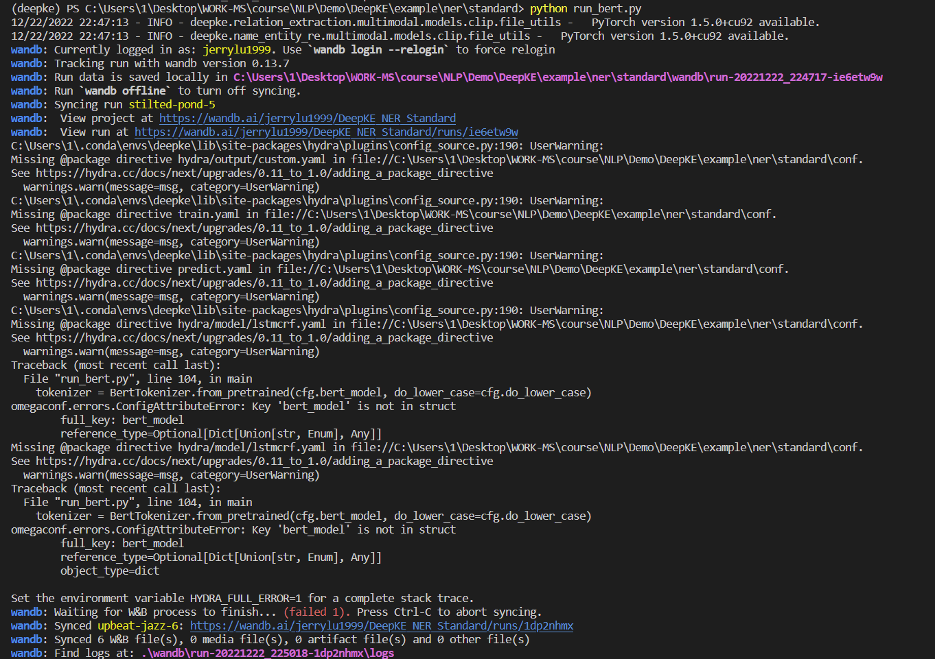 运行ner-standard的run_bert.py，wandb报错 · Issue #202 · zjunlp/DeepKE · GitHub