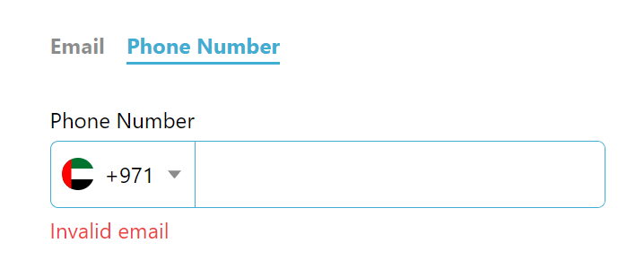 Textinput Validation Error Message Doesnt Disappear When Textinput Is 9019