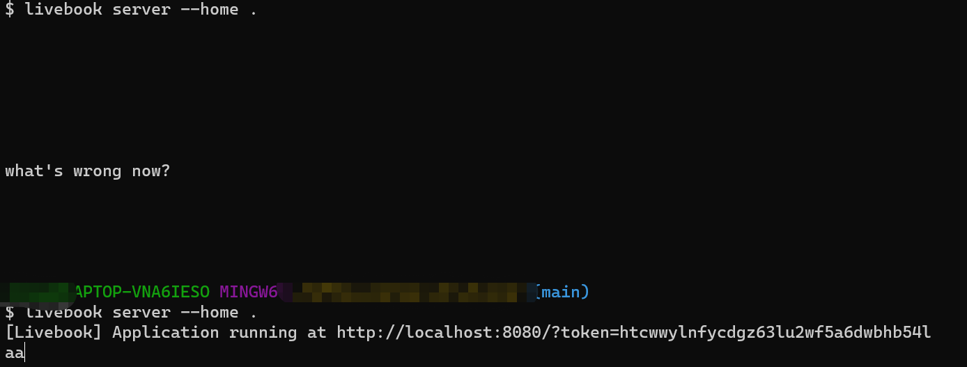 The first time startup, livebook will get stuck · Issue #1233 · livebook-dev/livebook · GitHub
