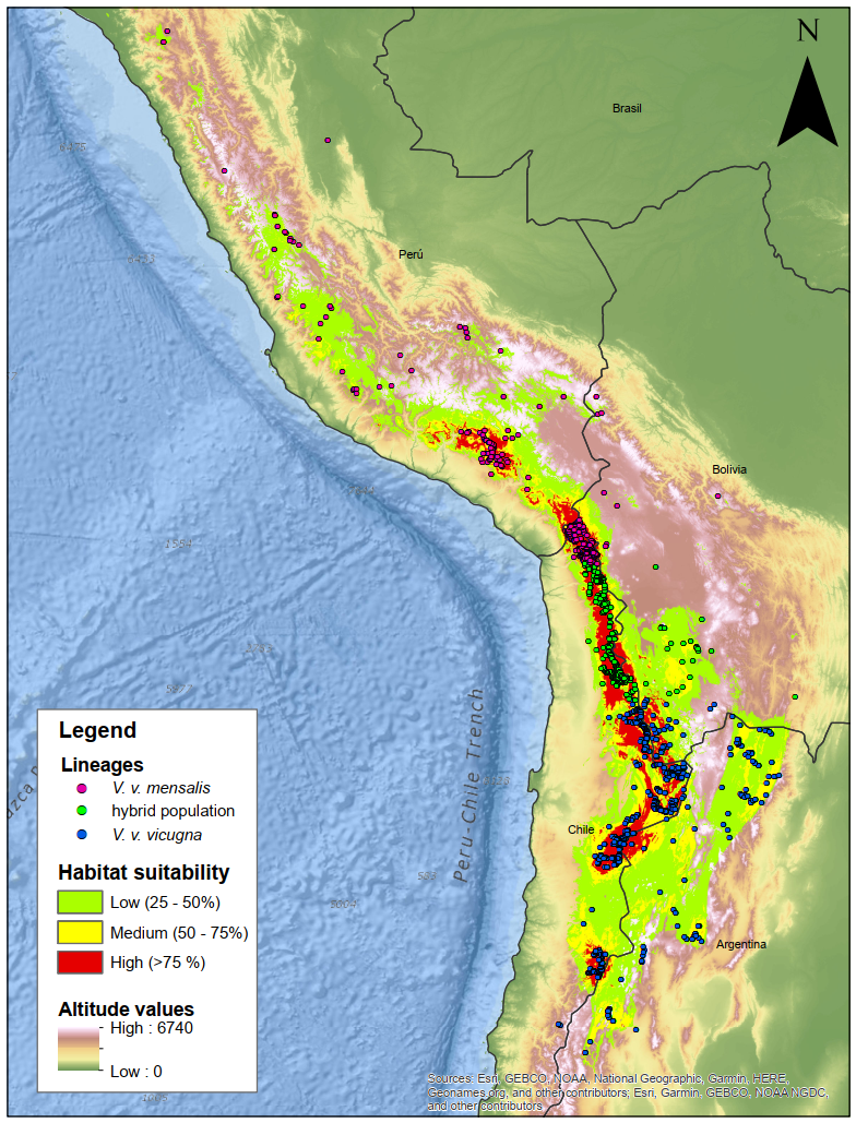 GitHub - Vakkhus/Vicuvicu: MDE vicugna