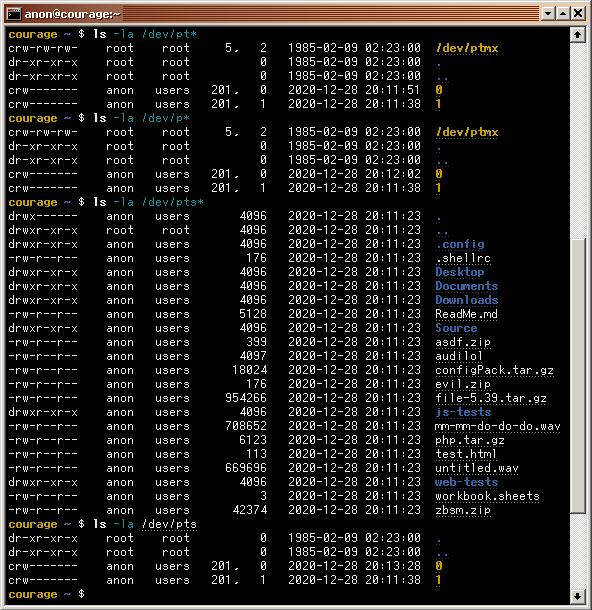 Shell: Wildcard globbing incorrect match · Issue #4607 · SerenityOS/serenity · GitHub