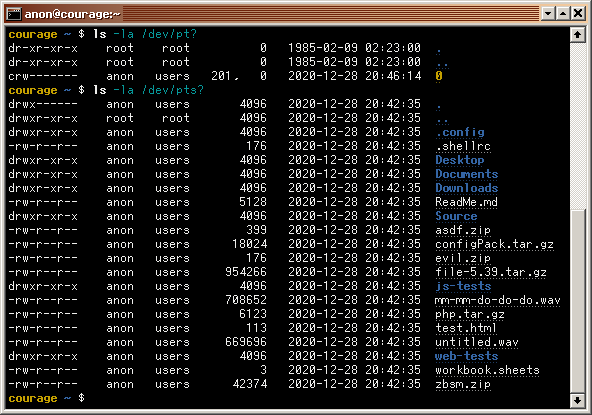 Shell: Wildcard globbing incorrect match · Issue #4607 · SerenityOS ...