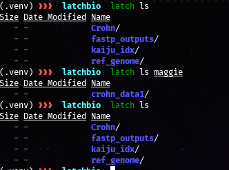 Directory doesn't show up in interface, shows up with 'latch ls' but still can't copy it · Issue ...