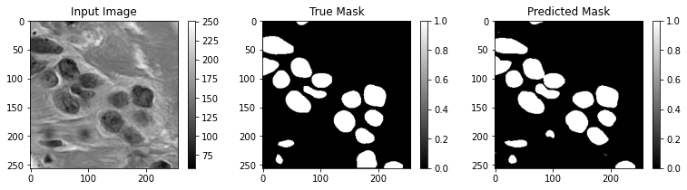 GitHub - mikylab/UNET_Segmentation: A UNET model trained to segment H&E ...