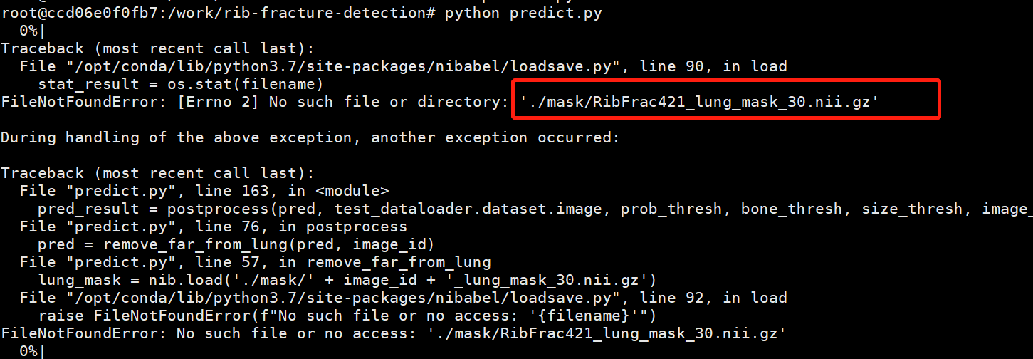 FileNotFoundError: [Errno 2] No such file or directory: './mask/RibFrac421_lung_mask_30.nii.gz ...
