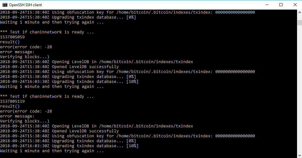 Error code -28 appeared while testing the readyness of the chainnetwork ...