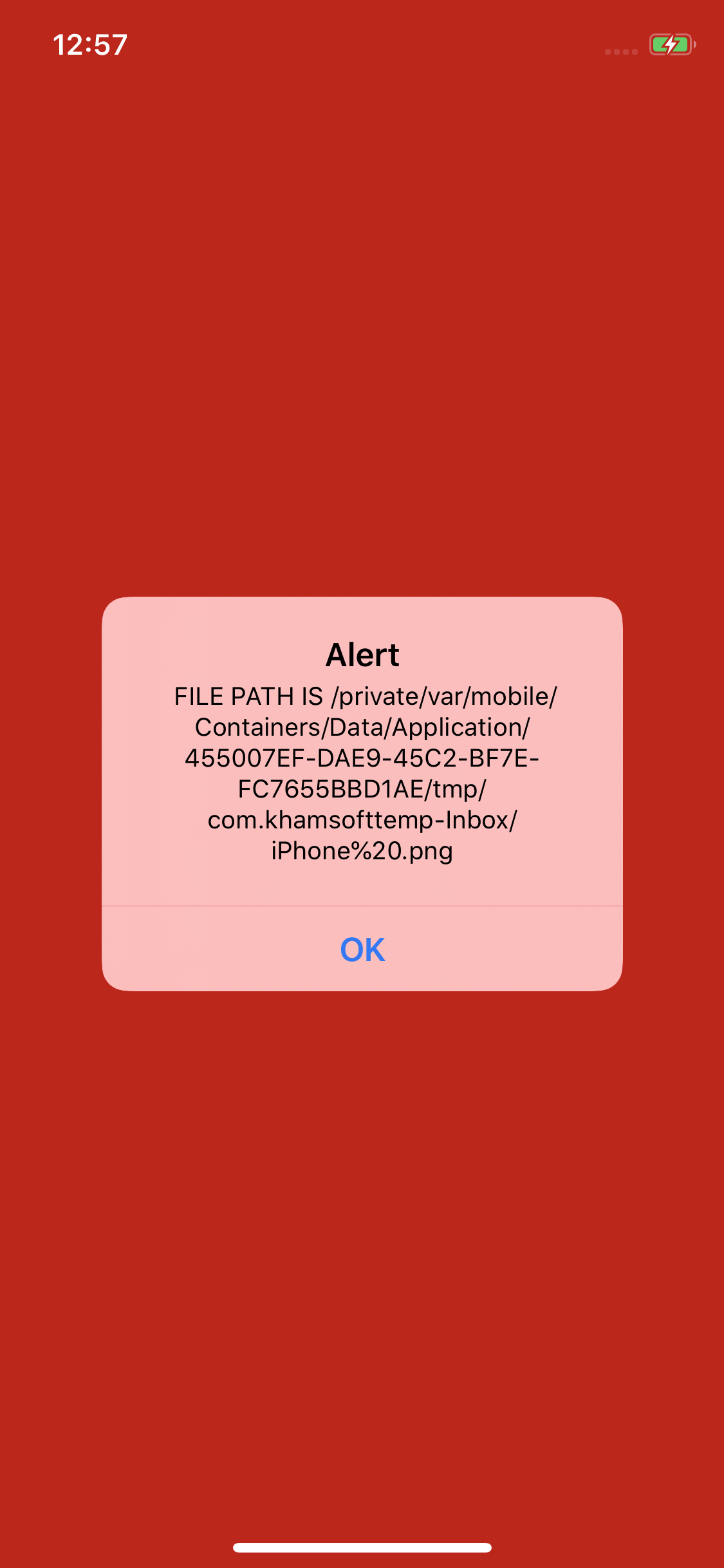 How To Get File Path From The Document Directory In IOS And Convert