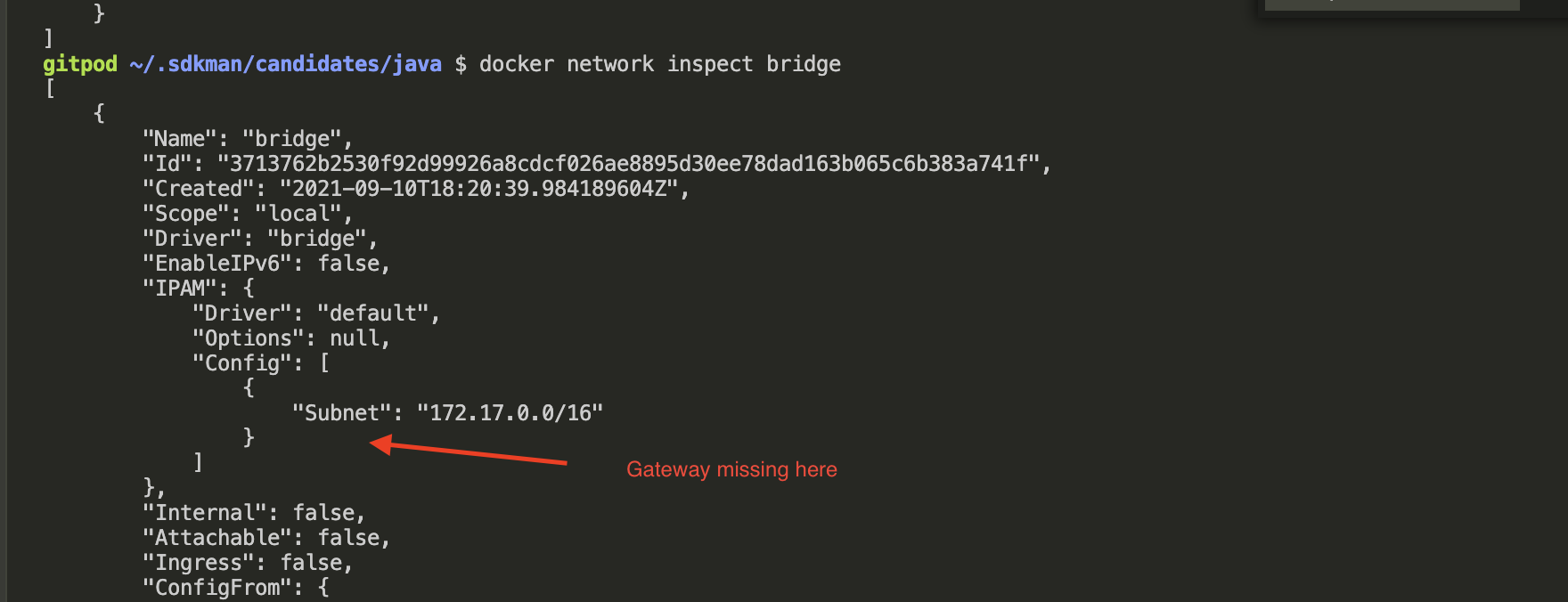 Docker bridge network is missing Gateway · Issue #5660 · gitpod-io/gitpod · GitHub