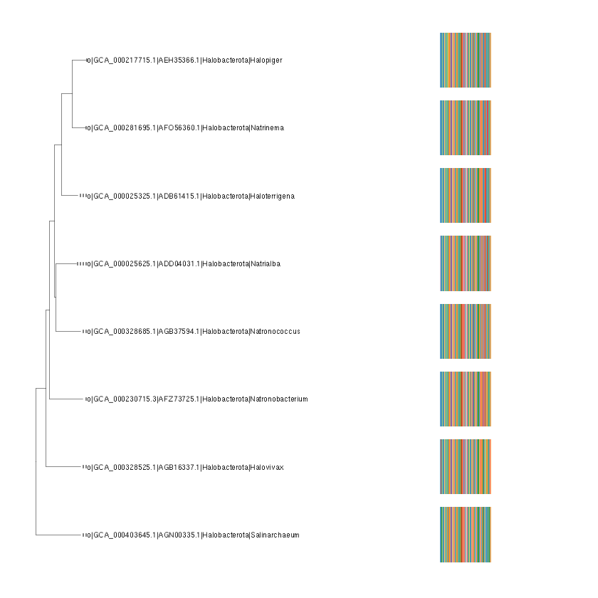 msatree breaks with tree colored by groupOTU · Issue #235 · YuLab-SMU/ggtree · GitHub
