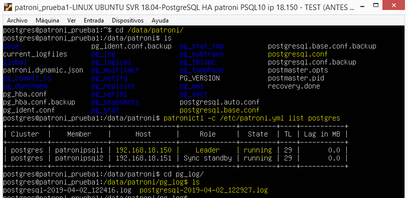 Error and Issues with stanza-create in master (patroni-cluster) · Issue #702 · pgbackrest ...