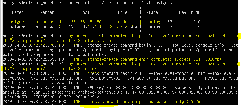 Error and Issues with stanza-create in master (patroni-cluster) · Issue #702 · pgbackrest ...