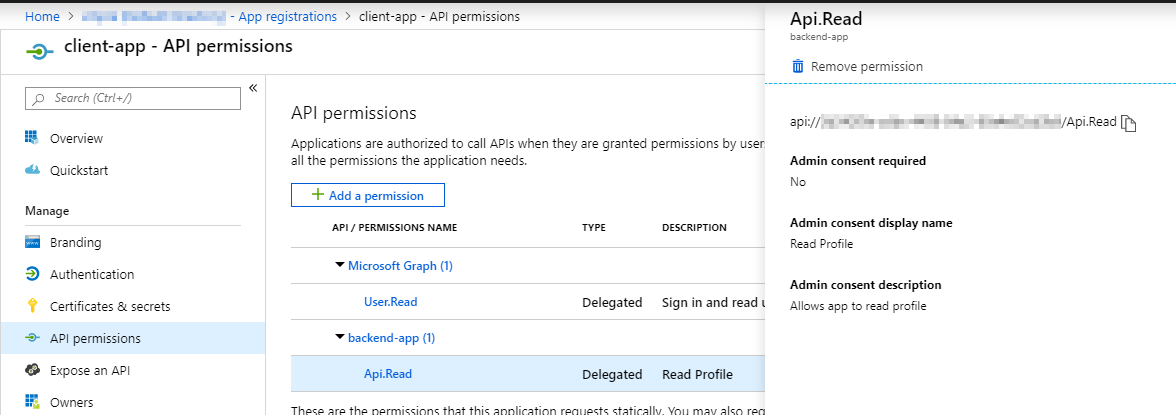 I get an error when trying to authorize from the api managment ...