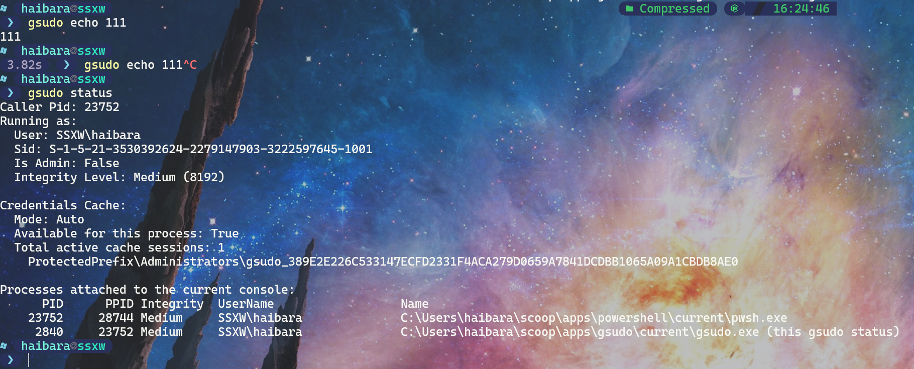 Issue: CacheMode Auto not working when intalled with scoop and using sudo alias · Issue #237 ...