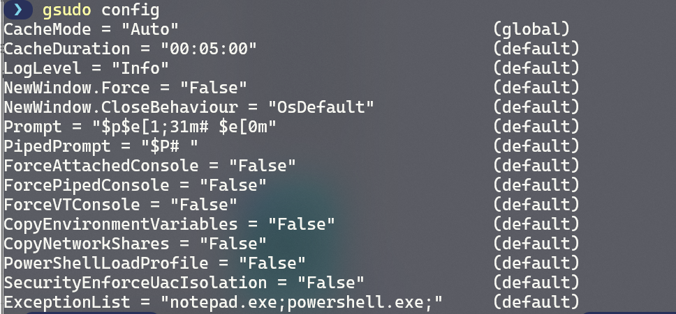 Issue: CacheMode Auto not working when intalled with scoop and using sudo alias · Issue #237 ...