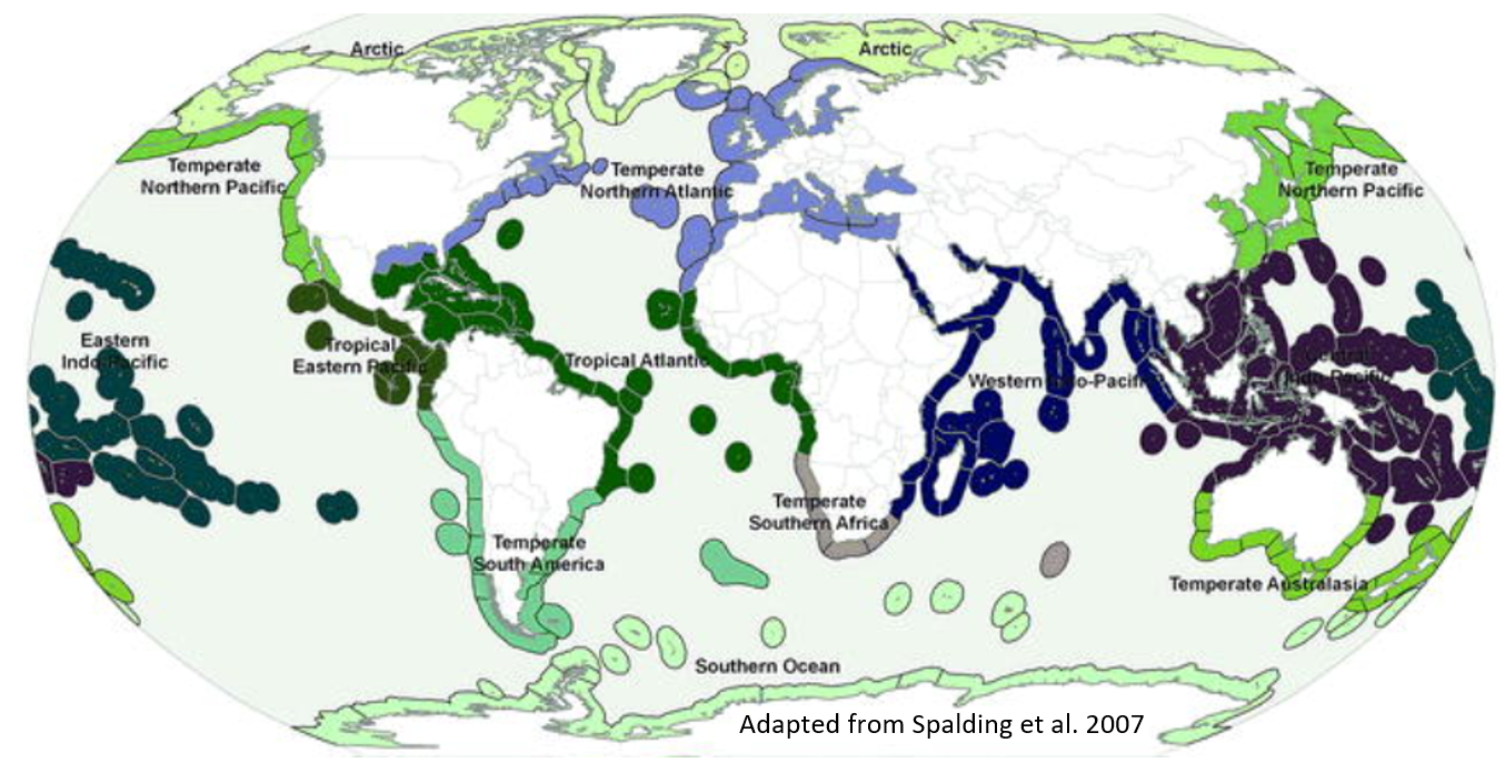 GitHub - 8Ginette8/gbif.range: An R package to generate species range maps based on ecoregions ...