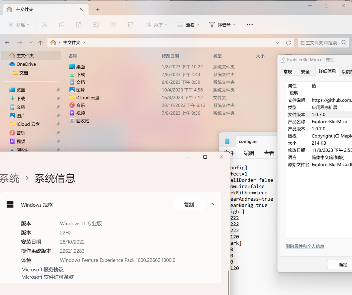 22h2 (22621.2283) not work · Issue #58 · Maplespe/ExplorerBlurMica · GitHub