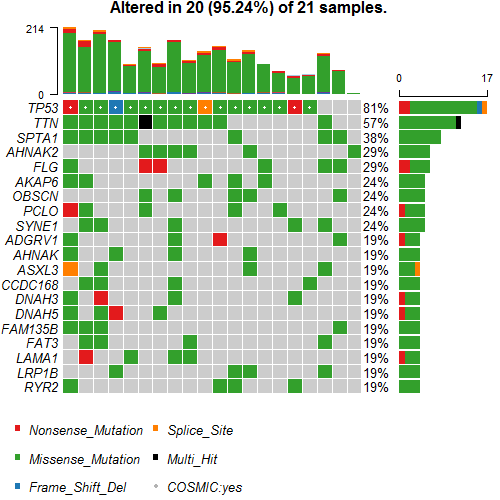 Changing oncoplot in a specific way · Issue #446 · PoisonAlien/maftools · GitHub