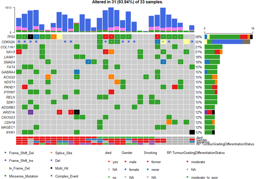 Discrepency of segment mean and GISTIC oncoplot · Issue #466 · PoisonAlien/maftools · GitHub