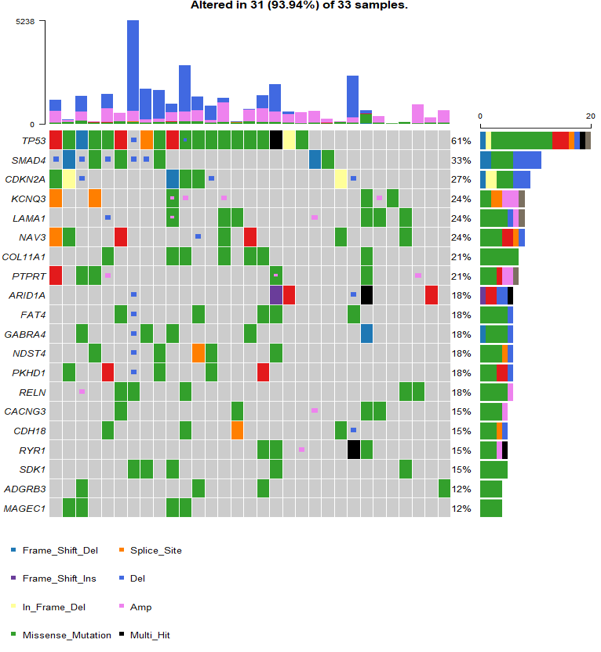 Discrepency of segment mean and GISTIC oncoplot · Issue #466 ...