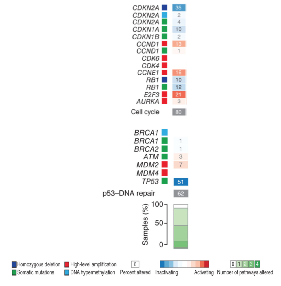 Combining pathway, somatic mutation and copy number in one plot · Issue #503 · PoisonAlien ...