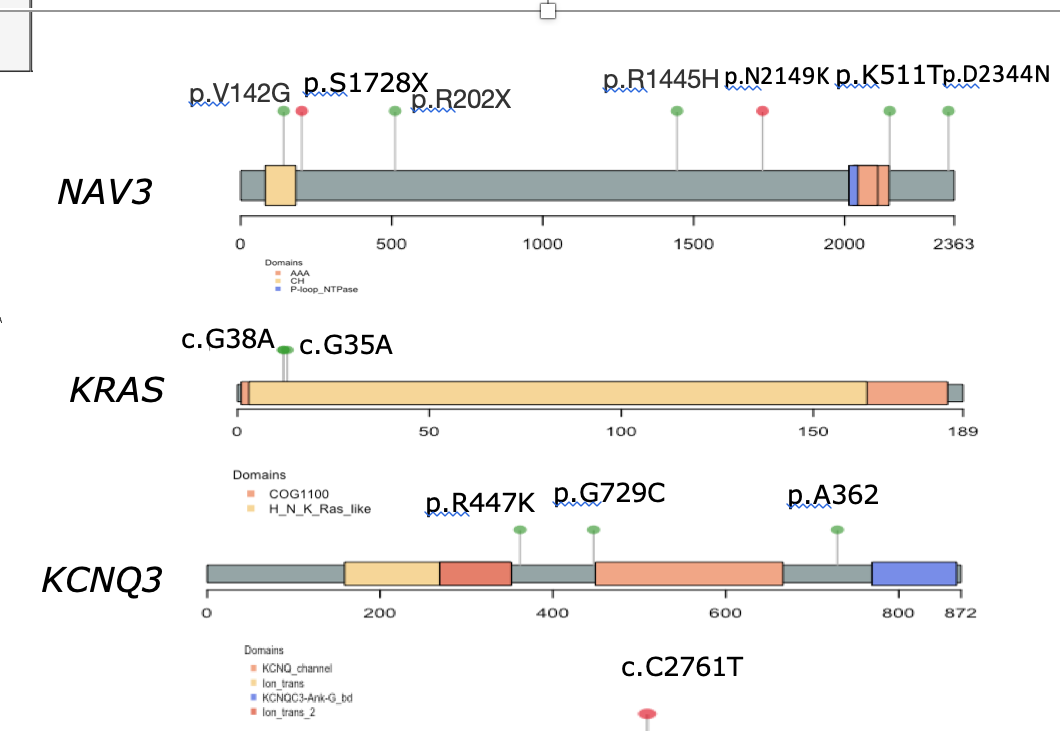 Lollipop Plot "structure for protein "-----" not found" · Issue #616 · PoisonAlien/maftools · GitHub