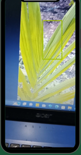 GitHub - C23-PS190-TemanSawit/TemanSawit-machine-learning