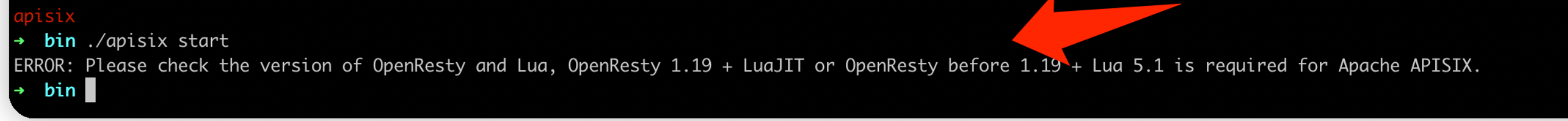 help request: please check the version of OpenResty and lua, OpenResty 1.19 + LuaJIT or ...