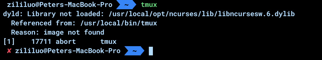 having trouble launching tmux on Mac · Issue #1664 · tmux/tmux · GitHub
